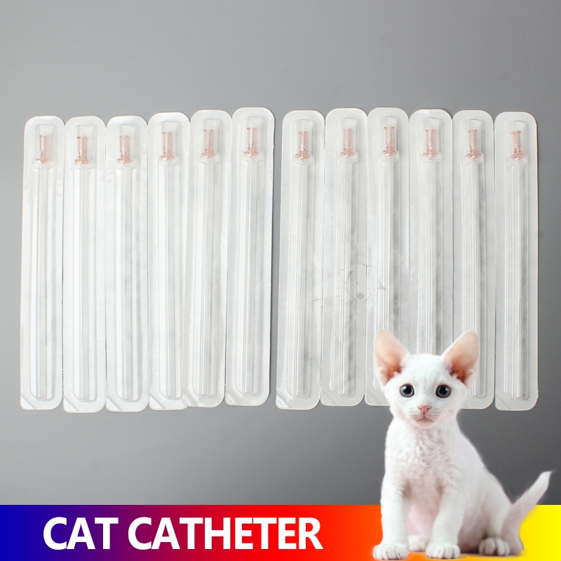 Cateter De Gato Estéril Felino Específico Bexiga Pedra Cateteres ...