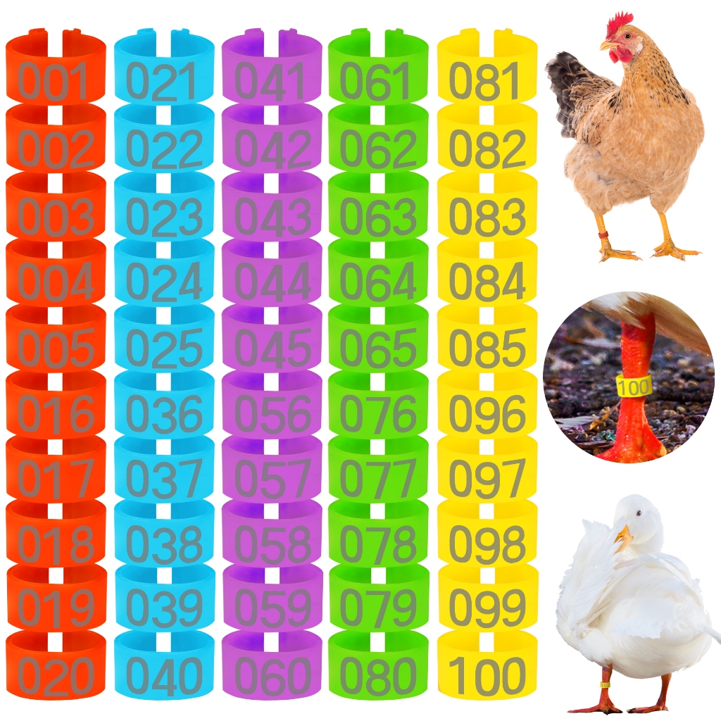100 Anéis De Banda De Identificação De Perna De Frango 16mm-Laser ...