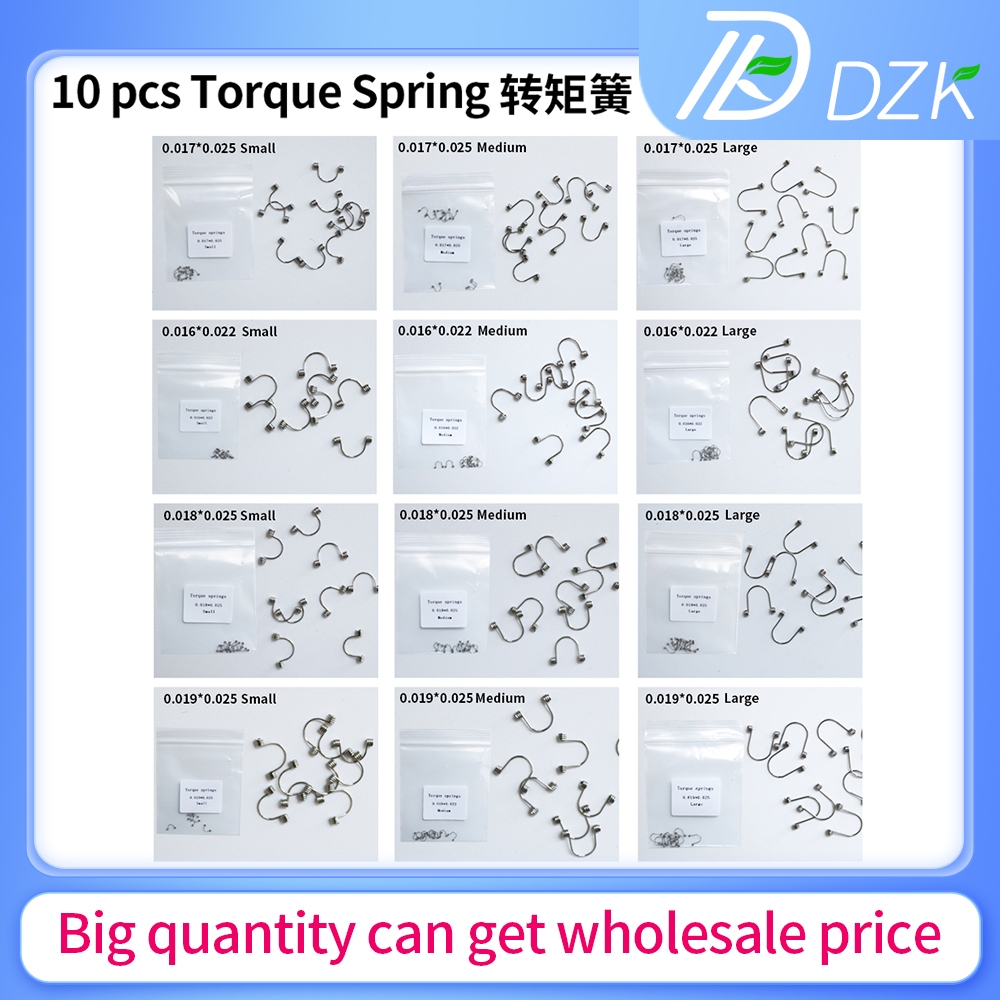 10 Unidades/Pacote Mola De Torque De Aço Inoxidável | Shopee Brasil