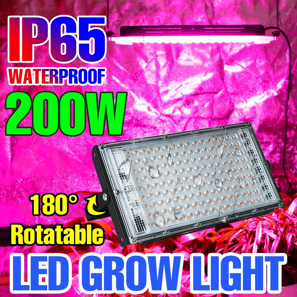 200W LED Planta Luz Espectro Completo Suplemento De Mudas AC180-240V ...