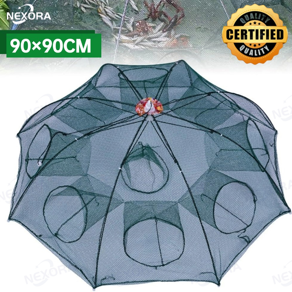 Covo Armadilha Com 8 Furos Peixes Siri Lambari Camarão Iscas | Shopee ...