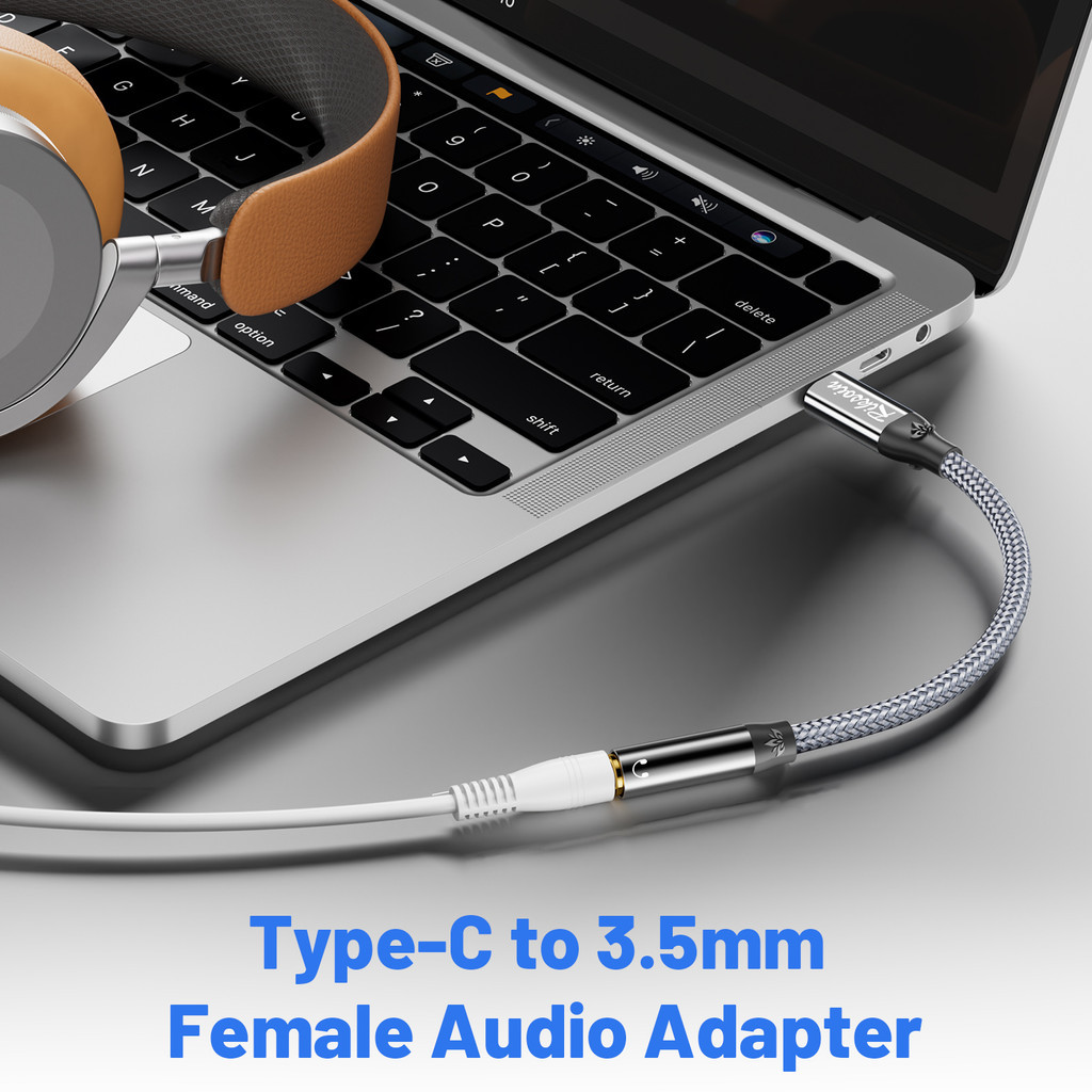 Riksoin Adaptador USB-C para jack de 3,5 mm com conversor DAC integrado ...