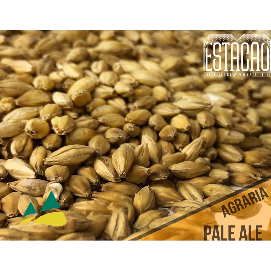 Malte PALE ALE nacional - AGRARIA - 100gr | Shopee Brasil
