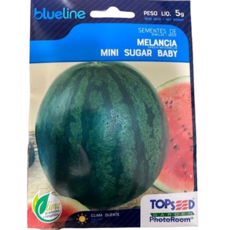 Sementes Blue line Melancia Mini Sugar Baby 5g Topseed Garden Envio ...