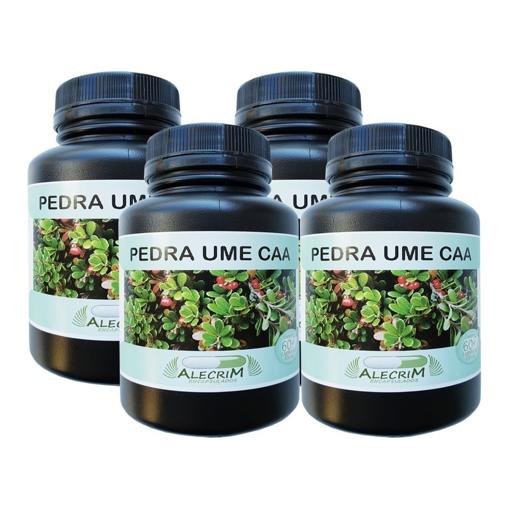 Pedra Ume Caa,para Colesterol Cápsulas/500mg Kit 4 Potes | Shopee Brasil