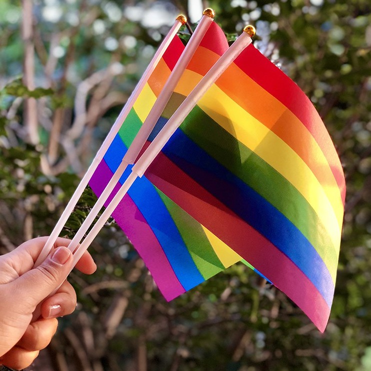 Bandeiras Orgulho LGBTQIAP+ Lésbica, Gay, Bi, Trans, Pan, Ace e Lgbt ...