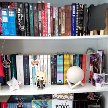 LIVROS NOVOS FAMOSINHOS NOS PREÇO TOP DE SEBO FEBRE DO TIK TOK SUSPENSE ...