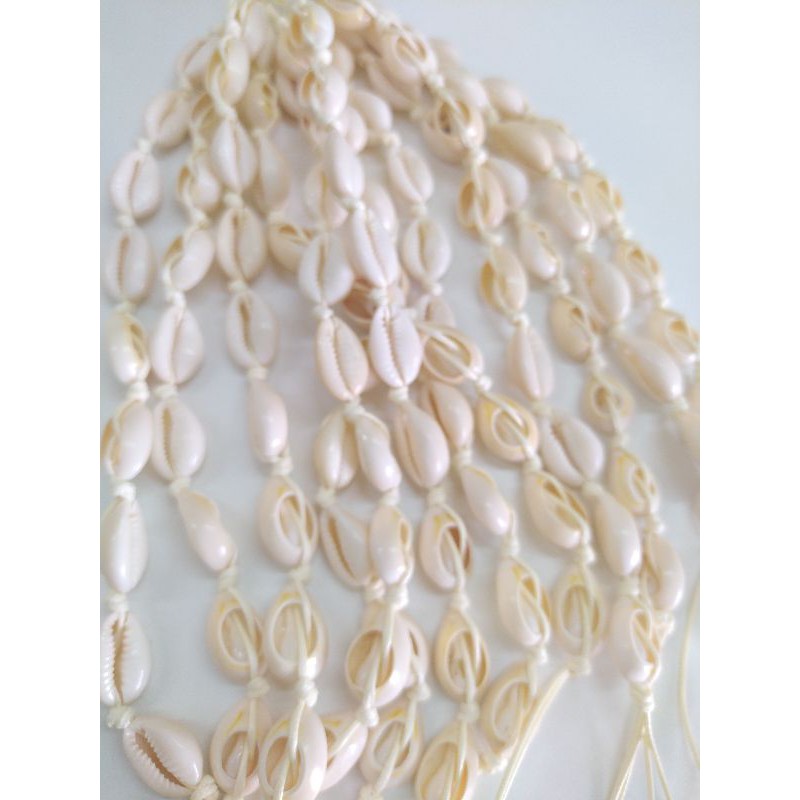 colar búzios artesanal kit com 50 unidades | Shopee Brasil