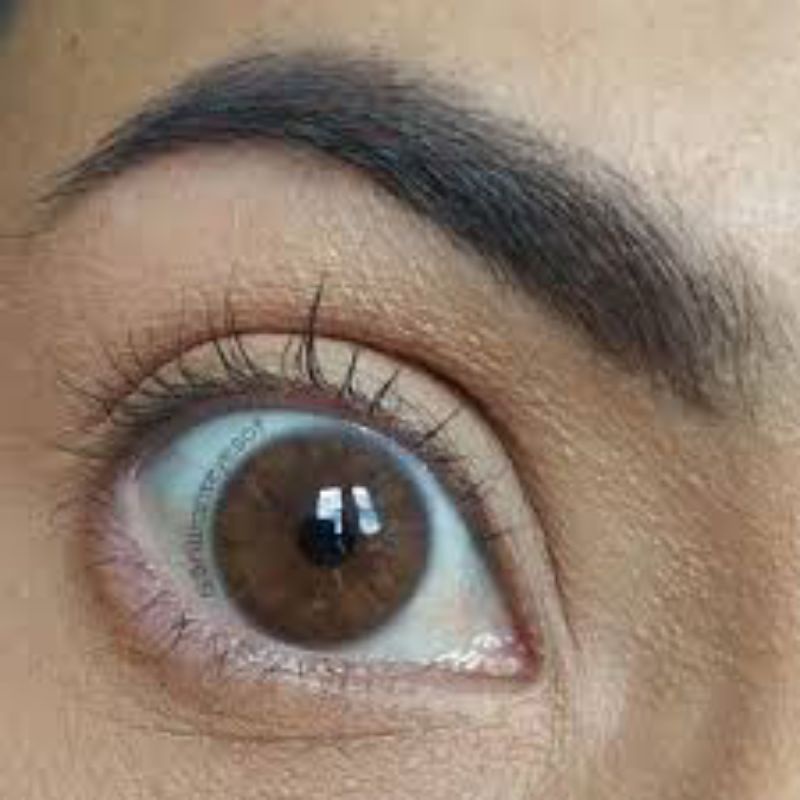 Colorcl Siesta Crystal Iris Hazel Lente De Contato Coreana Pronta ...