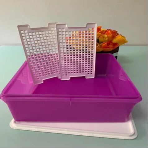 Super caixa 10L tupperware | Shopee Brasil