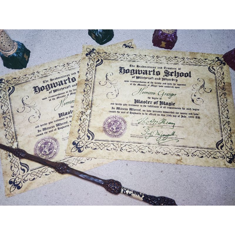Diploma de Hogwarts Personalizável - Harry Potter | Shopee Brasil