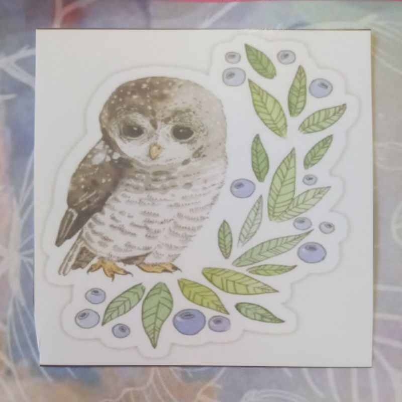 Adesivo/Sticker coruja com folhas e mirtilos, adesivo de animais ...