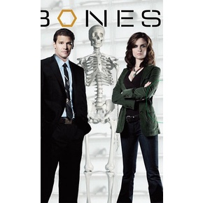 DVD Bones - As 12º Temporadas Completas + Sabrina - As 7º Temporadas Completas - Dublado ...