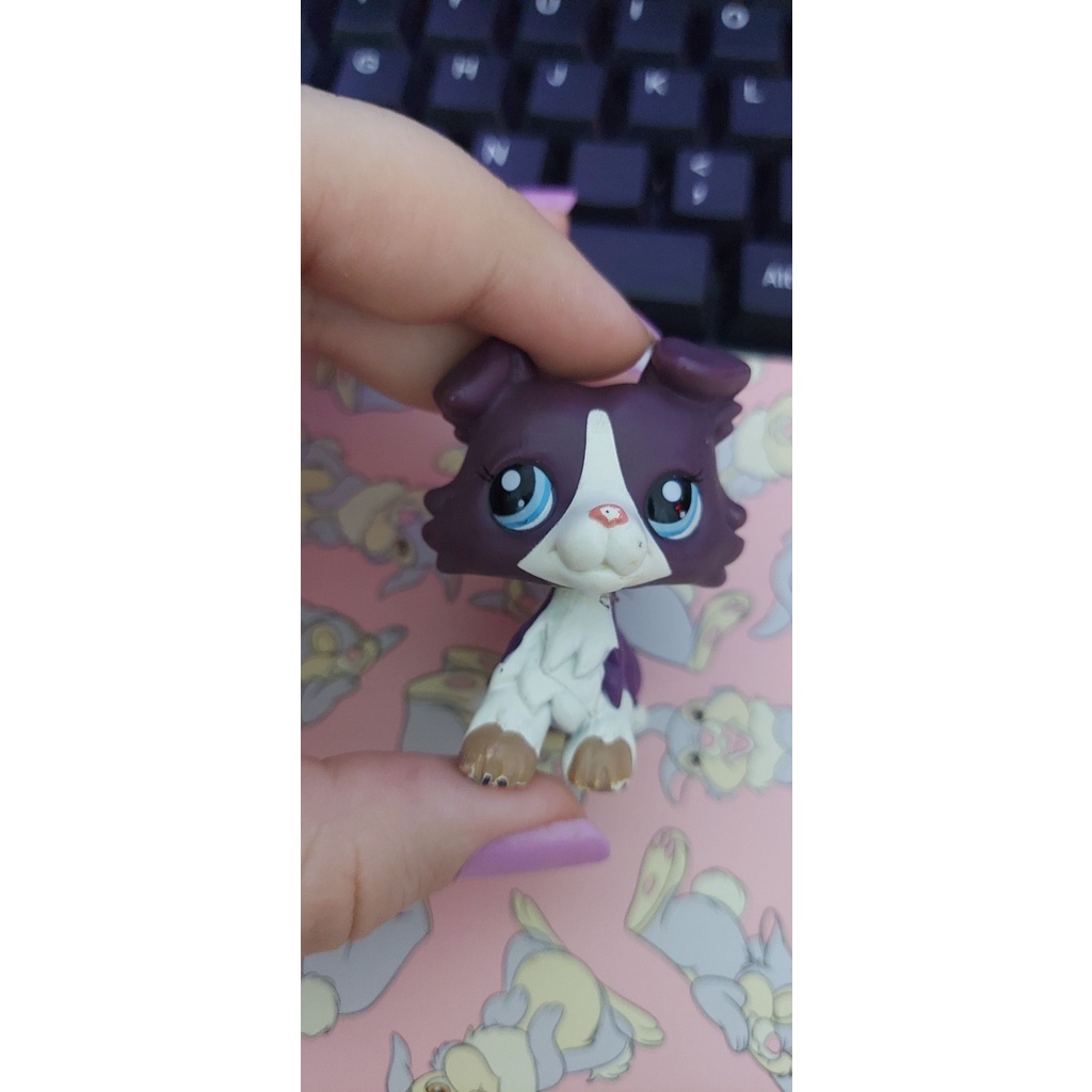 LPS Collie original | Shopee Brasil