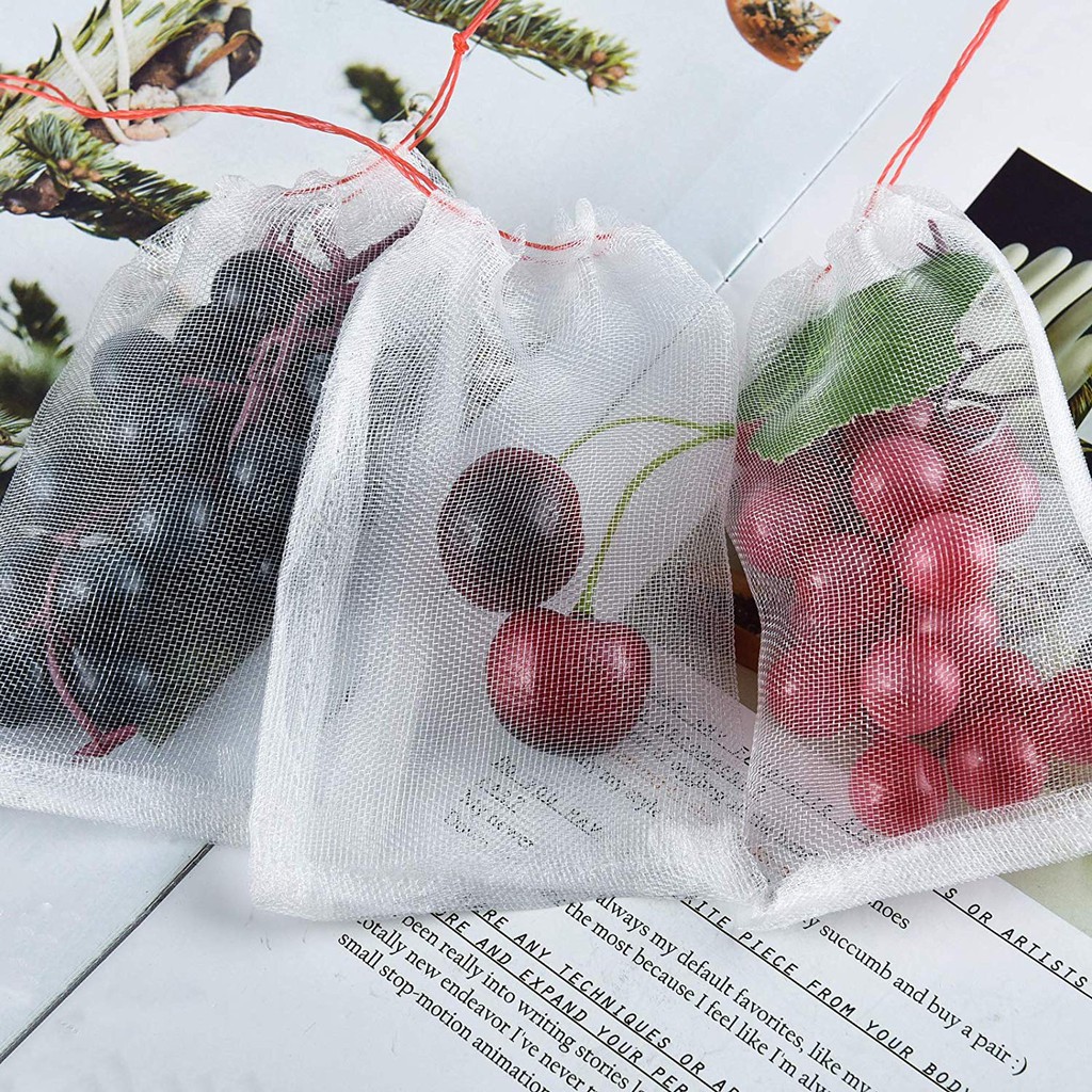20 Sacos De Nylon Pequenos 10x15 cm Transparentes Proteção Frutas ...