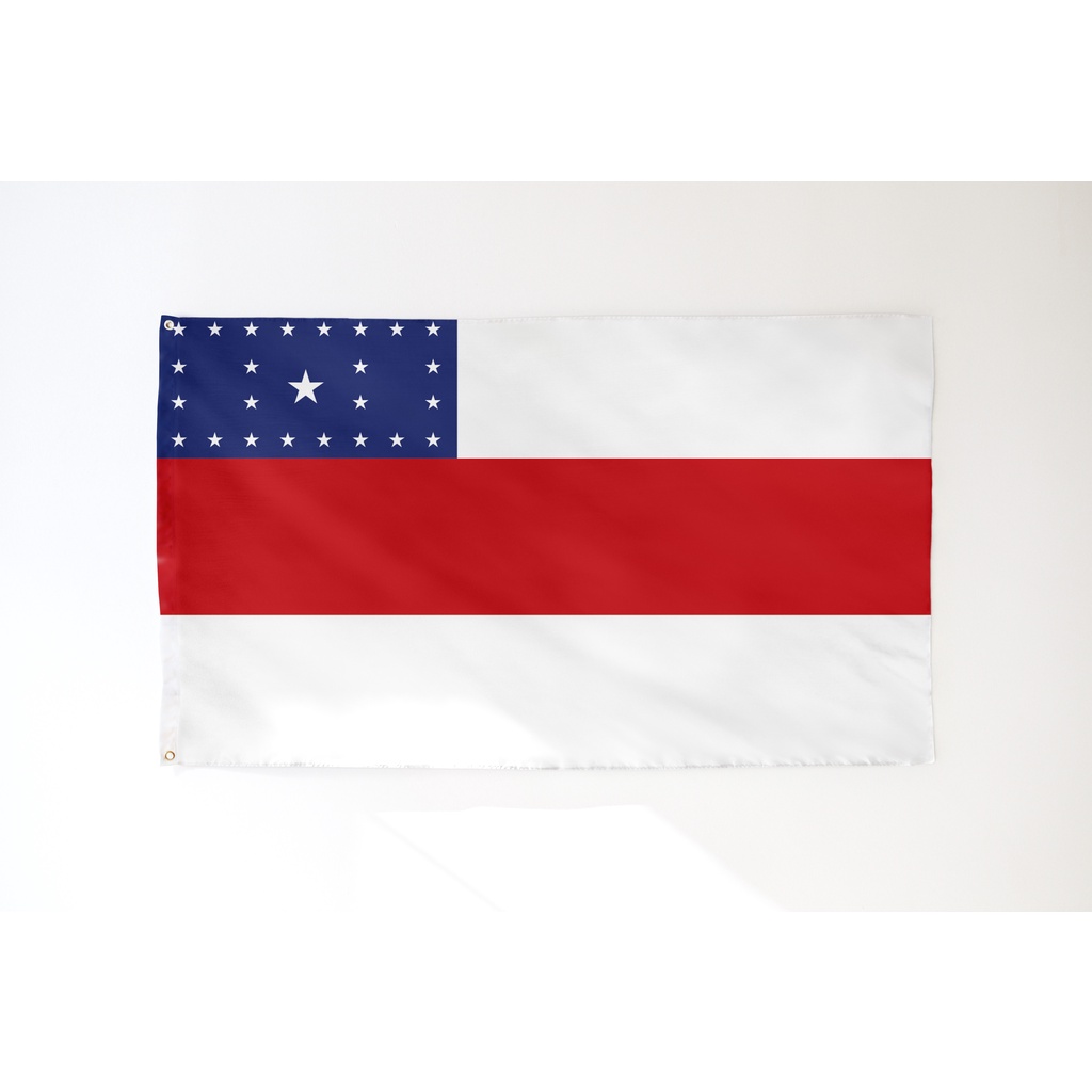 Bandeira Amazonas Dupla Face 145x85 Cm Poliéster Oxford | Shopee Brasil