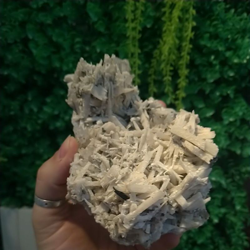 Pedra Albita | Shopee Brasil