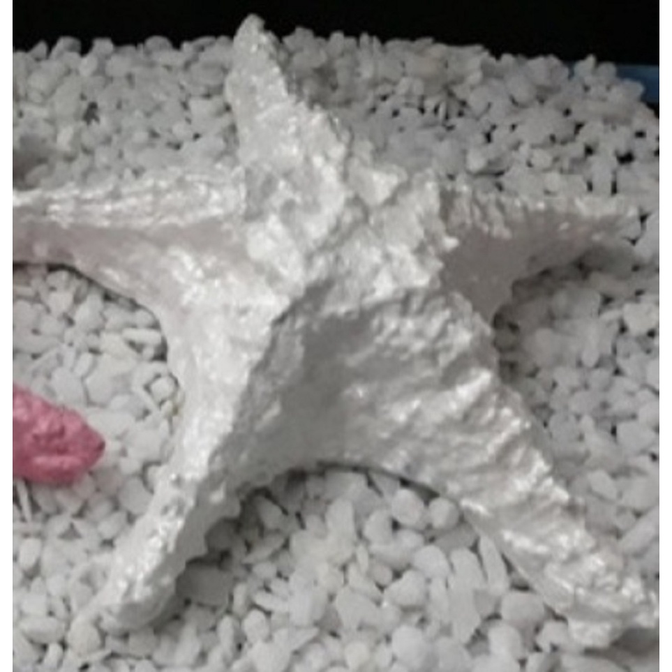 estrela 13 cm | Shopee Brasil
