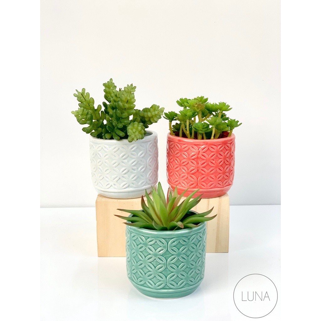 Vaso Cachepo Vasinho Porcelana para Suculentas Cactus | Shopee Brasil