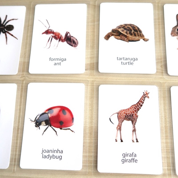 Kit 32 Flashcards de Animais variados Português e Inglês Bilíngue ...