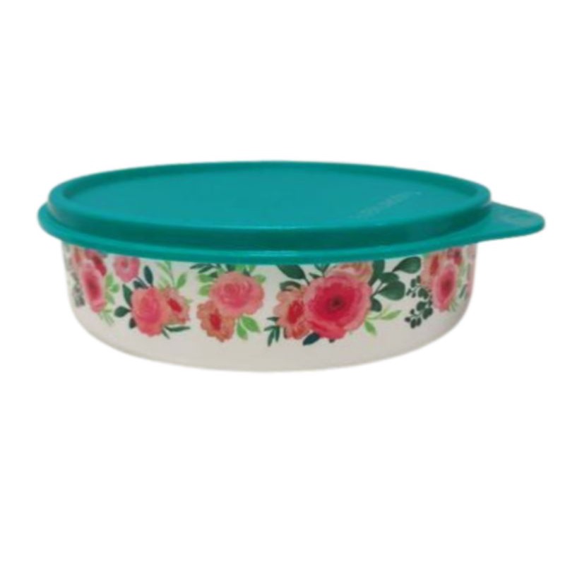 Tupperware Tupper Pratinho 500 Ml Aquarela | Shopee Brasil