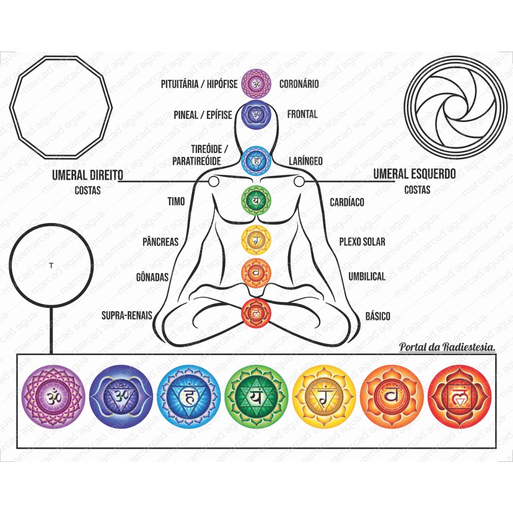 Avaliação dos Chakras - gráfico em pvc - 25x20 cm | Shopee Brasil