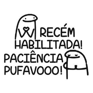 Adesivo Bento Meme Flork Para Carro Recem Habilitada | Shopee Brasil