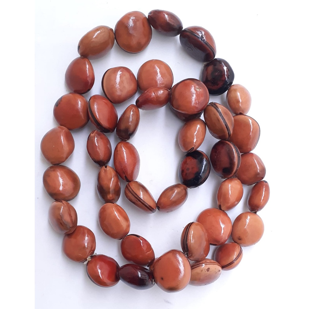 Guia Semente Olho De Boi Boiadeiros Baianos 60 cm Colar Umbanda - Faz a Boa!