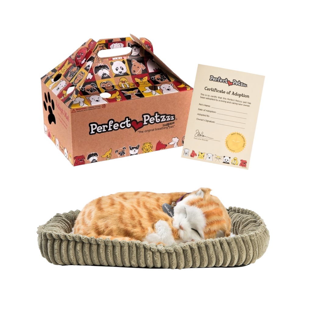 Filhote de Pelúcia Gato Que Respira Laranja Perfect Petzzz | Shopee Brasil