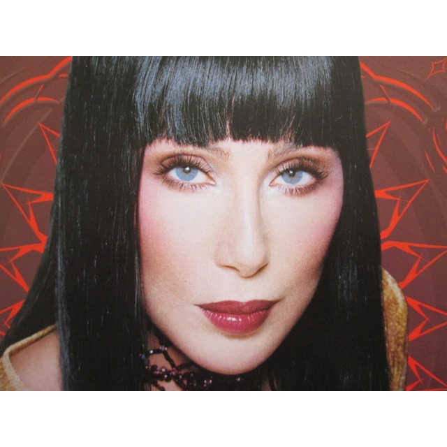 DVD - CHER / The Very Best Of Cher / The Video Hits Collection ...