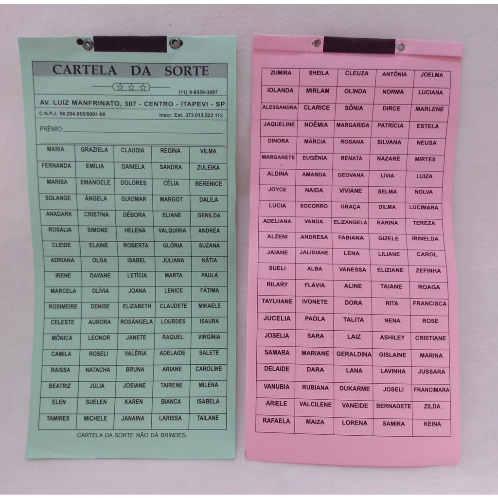 10 CARTELAS PARA RIFAS COM 200 NOMES CORES SORTIDAS | Shopee Brasil