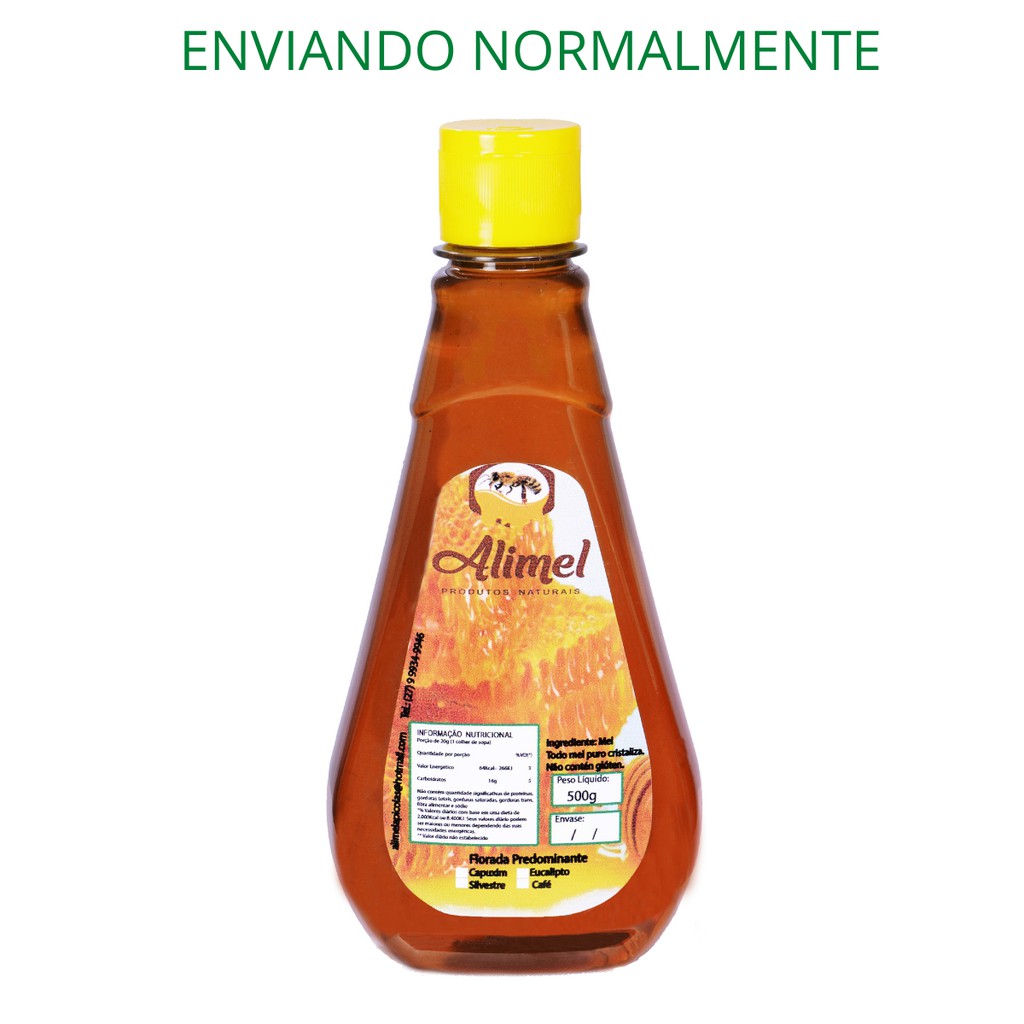 Mel Puro 1 Bisnaga De 500 gramas da Flor silvestre PROM | Shopee Brasil