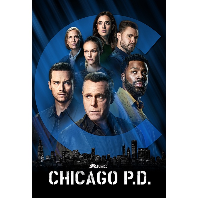 DVD Chicago PD - As 10 Temporadas Completas - Dublado | Shopee Brasil