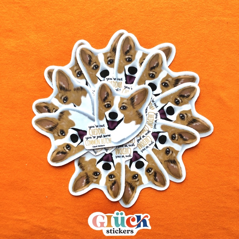 Adesivo/sticker Brooklyn 99 (b99) | Shopee Brasil