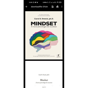 Impressão do Livro Mindset | Shopee Brasil