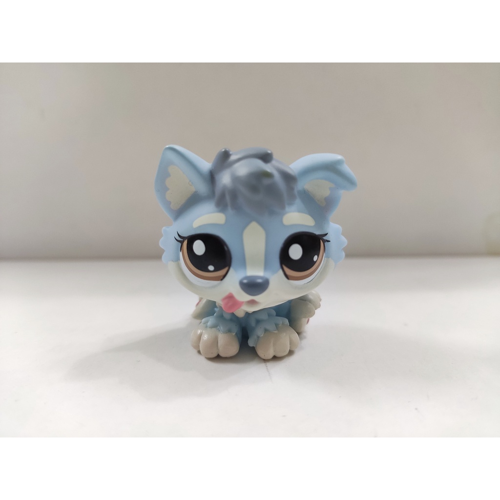 LPS Toy Pet Shop Presente De Criança Cão Azul | Shopee Brasil