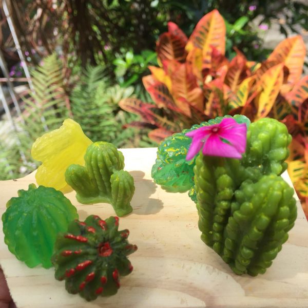 Forma de Silicone Cacto Mini Ib-278 (Molde de Silicone para Sabonete ...