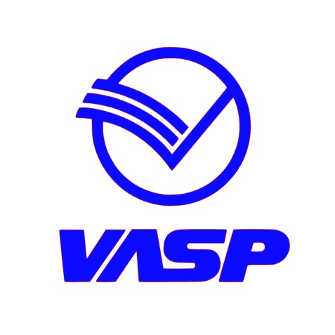 ADESIVO VASP AVIAÇÃO LOGO | Shopee Brasil