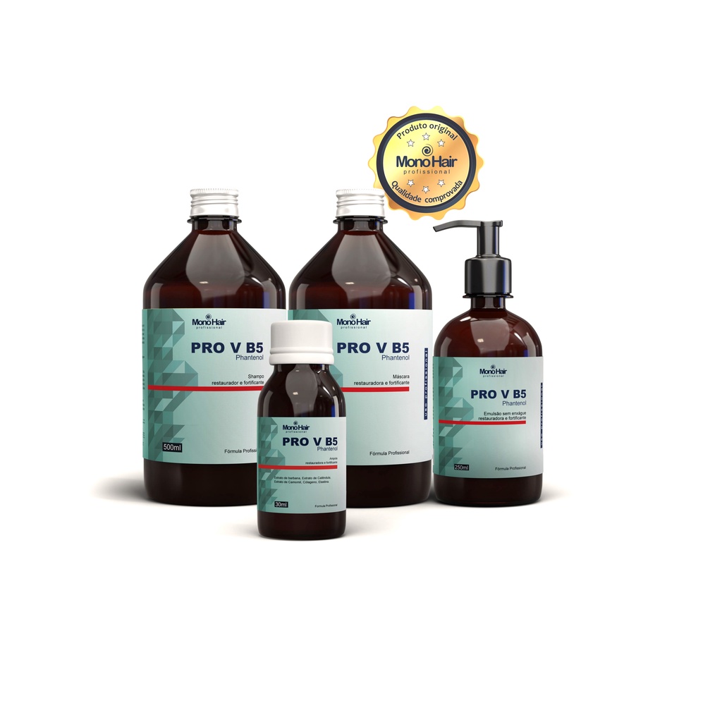 Kit Pro V B5 Original (4 itens) | Shopee Brasil