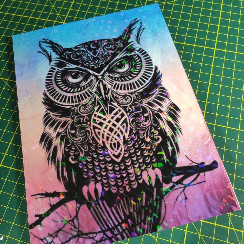 Placa Decorativa Coruja em MDF 20x27 com 6 mm | Shopee Brasil