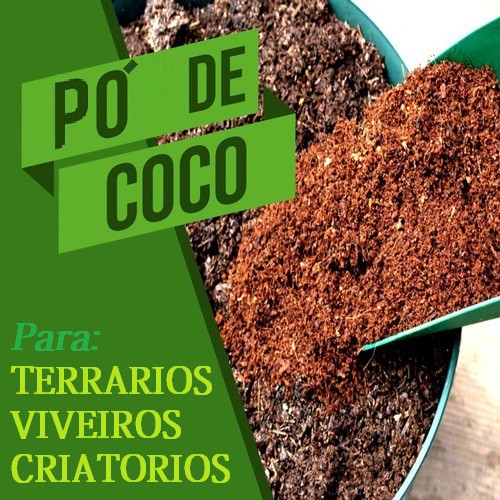 SUBSTRATO P/ TERRÁRIO E VIVEIROS - HAMSTER, ROEDORES, SERPENTES ...