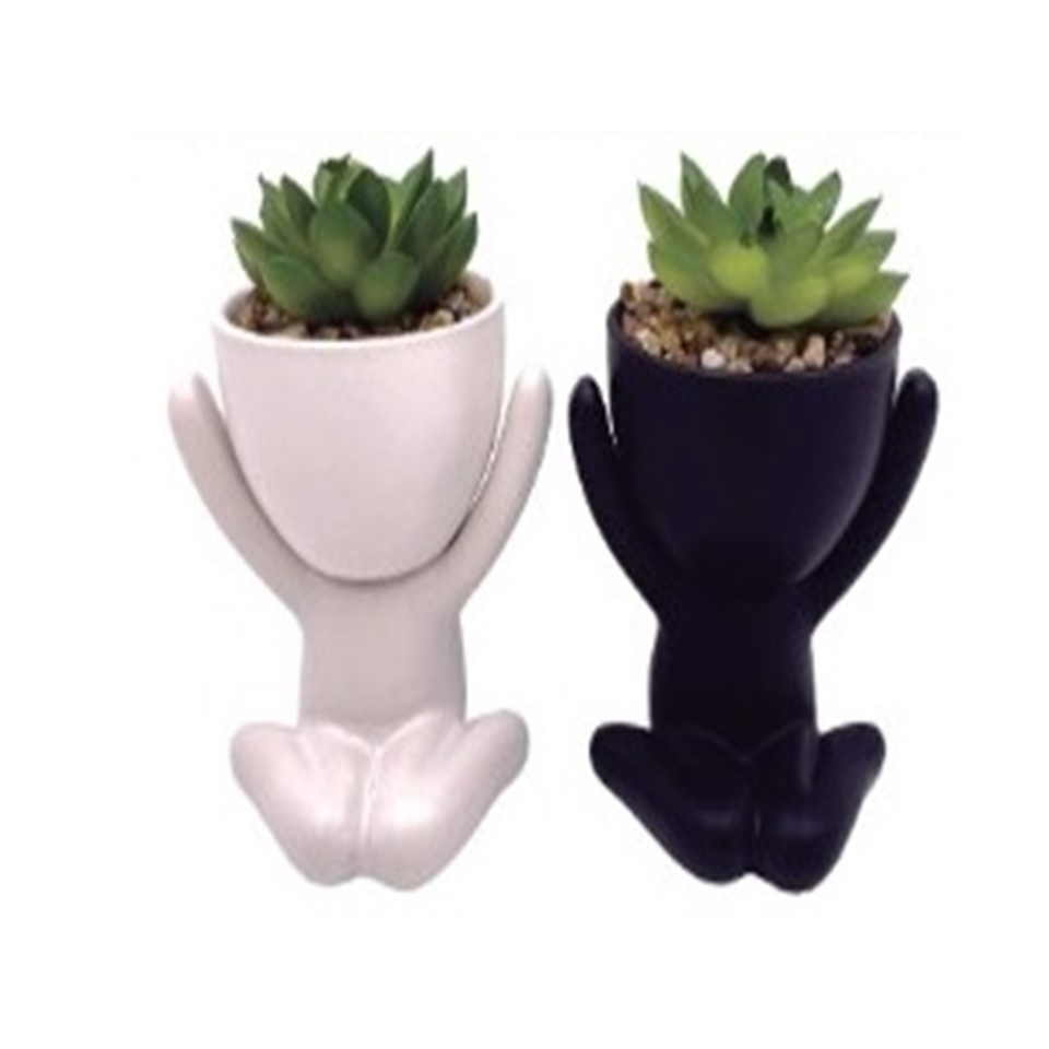 Vaso Decorativo Suculentas Planta Bob Criativo Cactus 9.5cm | Shopee Brasil