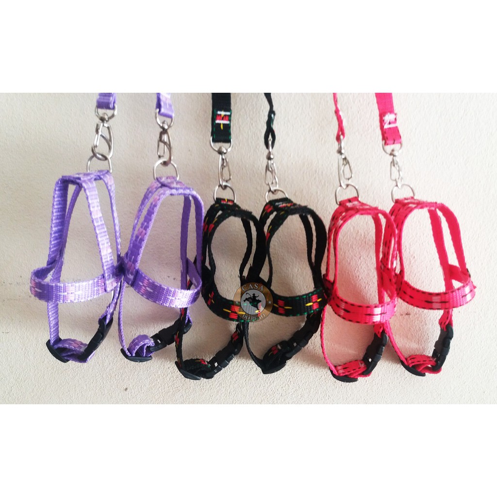 Conjunto Peitoral e Guia Para Cães e Gatos Com 6 Unidades Preço Atacado ...
