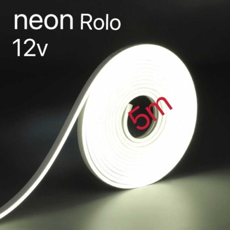 Fita Led Neon 2835 Rolo 5m Flexível 12v Alto Brilho Branco frio ...