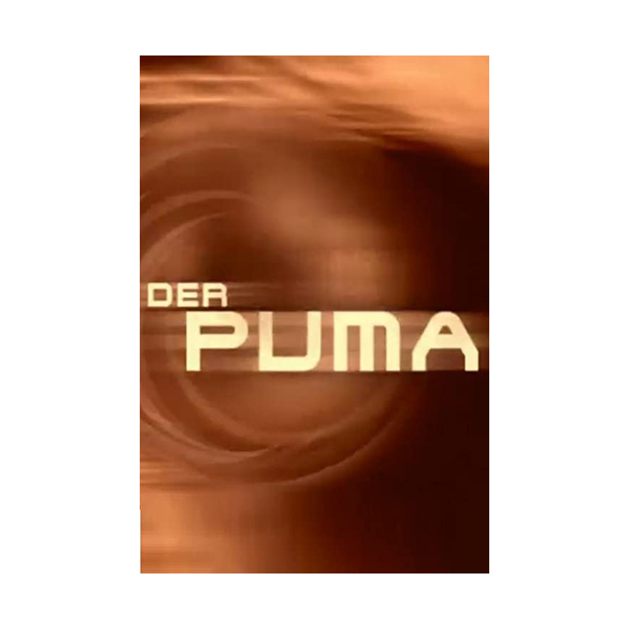 DVD Puma - O Guerreiro das Ruas | Shopee Brasil