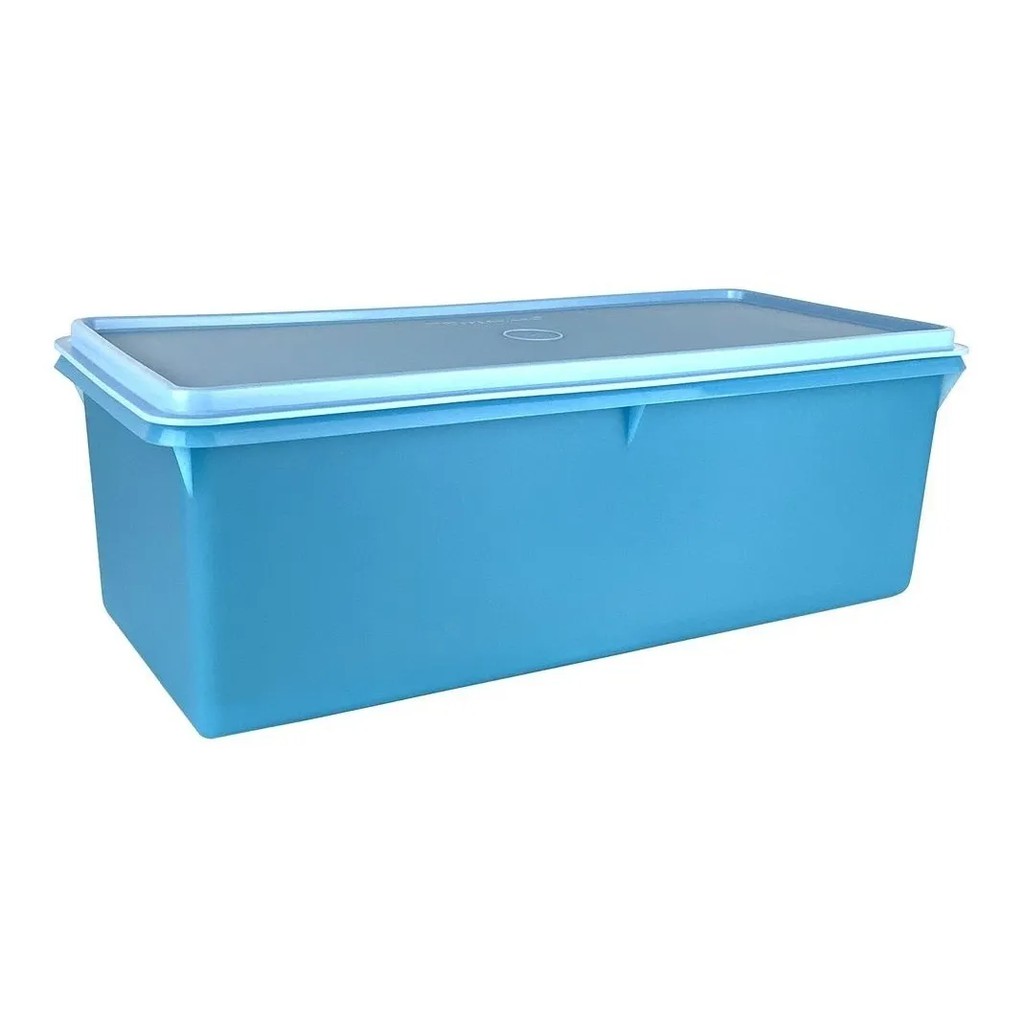 Tupperware Mega Caixa Freezer Retangular 6L | Shopee Brasil