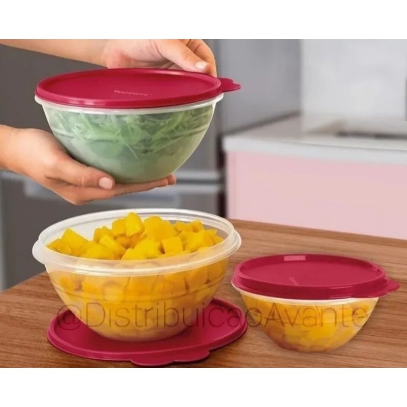 Tupperware Conjunto Tigelas Maravilhosas | Shopee Brasil