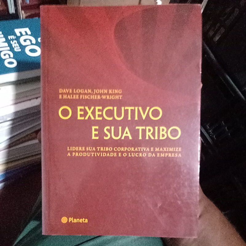 Livro - O Executivo e sua Tribo - Dave Logan, John King e Halee Fischer ... Livro - O Executivo e sua Tribo - Dave Logan, John King e Halee Fischer ...