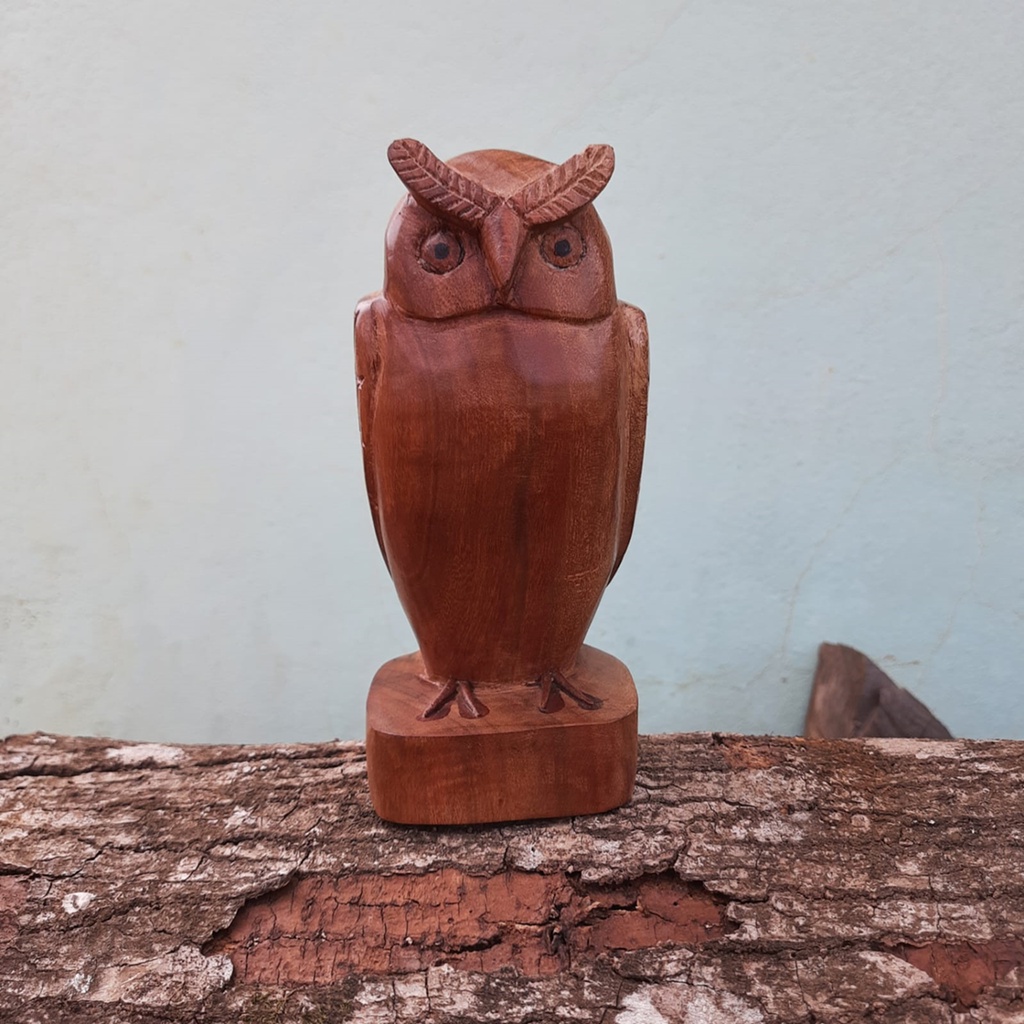Escultura Coruja, Símbolo da Sabedoria Decoração Em Madeira Artesanato ...