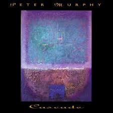 CD - Peter Murphy - Cascade | Shopee Brasil
